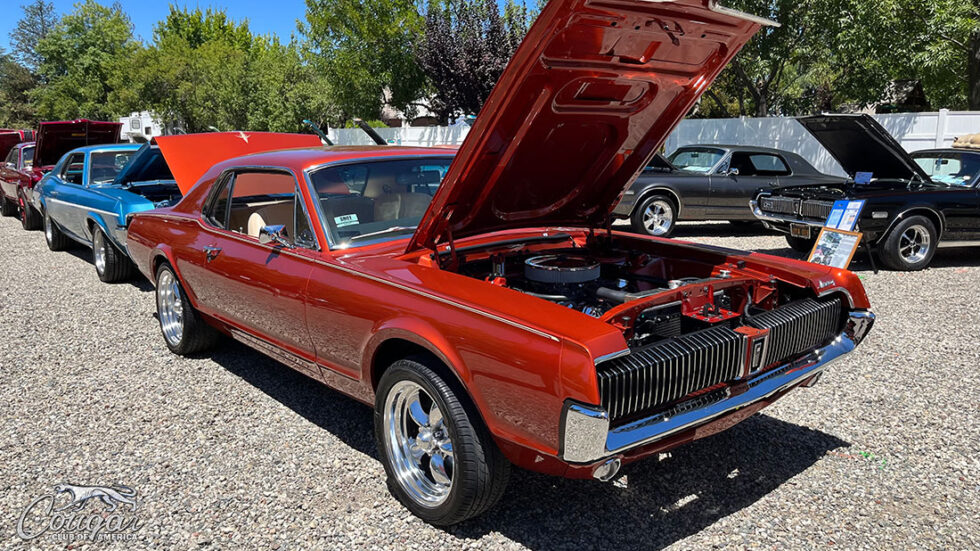 Past Events | The Cougar Club of America